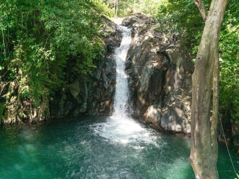 Bali: Lovina Marine Wonders, Dolphin Swim & Snorkeling. - FAQs