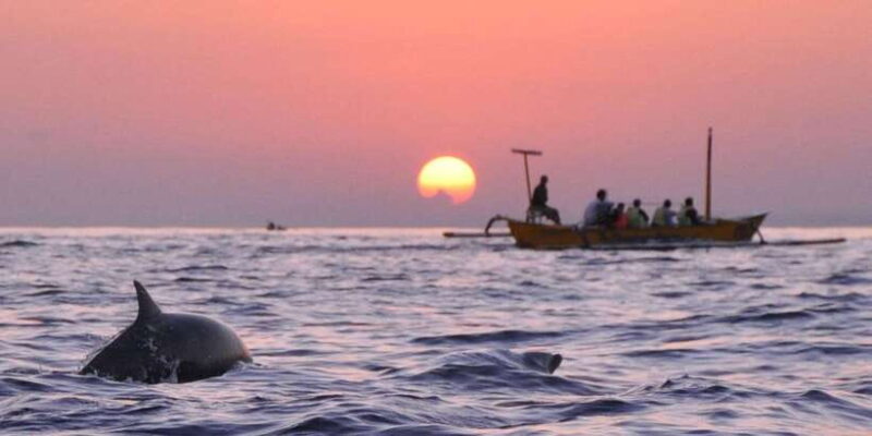 bali/lovina: See Dolphin, Hidden Hill, Waterfalls and Lunch - Key Points