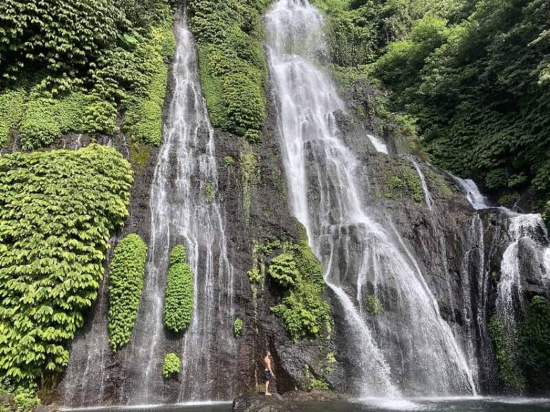 bali/lovina: See Dolphin, Hidden Hill, Waterfalls and Lunch - Who Is This Tour Best For?