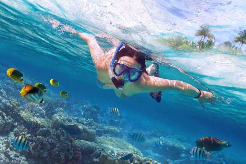 Bali: Lovina Sunset Tour with Snorkeling Experience - What Makes This Tour Special