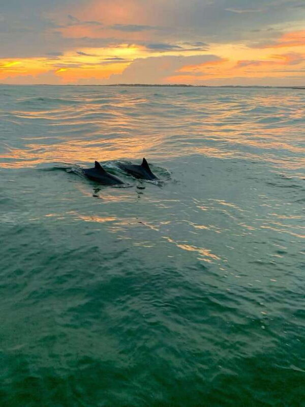 Bali: Lovina Sunset Tour with Snorkeling Experience - Who Is This Tour Best For?