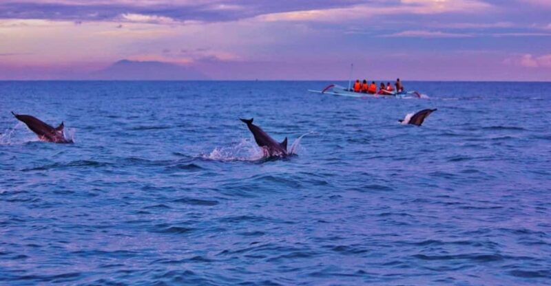 Bali: Lovina tour to see dolphin - The Sum Up