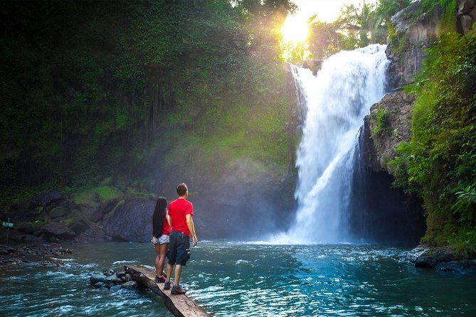 Bali Majestic Waterfall Tour - A Closer Look at the Bali Majestic Waterfall Tour