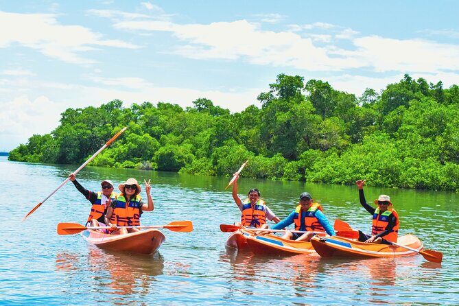 Bali Mangrove Canoeing Tour - What is the Bali Mangrove Canoeing Tour?
