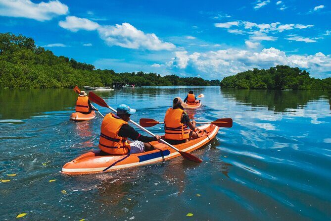 Bali Mangrove Canoeing Tour - Pricing and Value