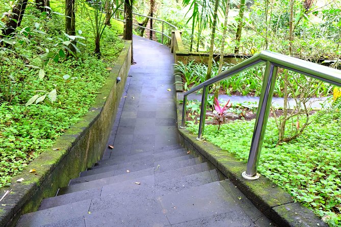 Bali Mason Adventure White Water Rafting - Who Will Love This Tour?