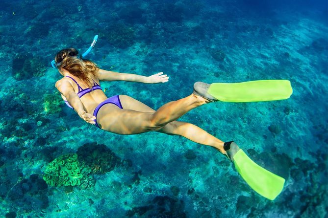 Bali Menjangan Island Snorkeling Day Tour - The Sum Up