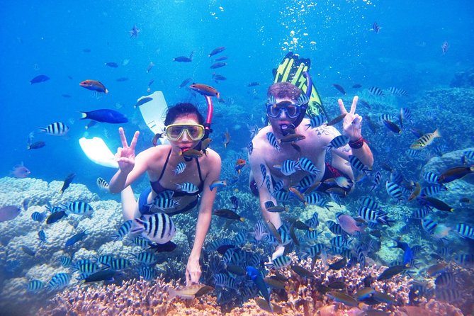 Bali Menjangan Island Snorkeling Day Tour - FAQ