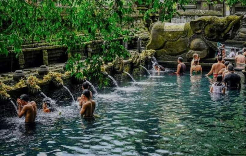 Bali: monkey forest, rice terrace, water temple, waterfall - FAQs