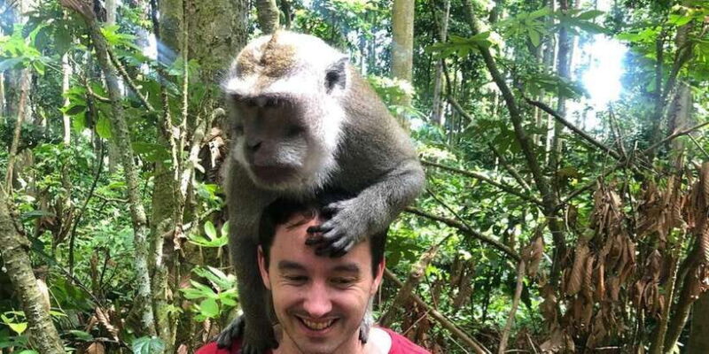 Bali: Monkey Forest, Waterfalls, Rice Terracep, and Coffee - Key Points