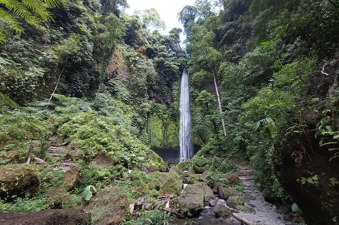 Bali Most Scenic Waterfalls Trekking - Authentic Reviews from Participants