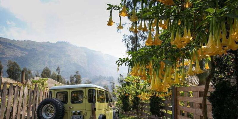 Bali: Mount Bromo and Kawah Ijen 3-Day Volcanic Trip - Key Points