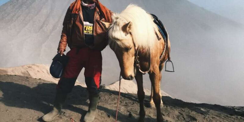 Bali: Mount Bromo and Kawah Ijen 3-Day Volcanic Trip - Final Thoughts: Why Choose This Experience?