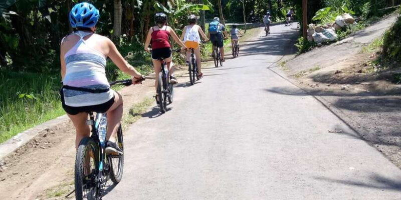 Bali Natural Downhill Cycling Tour and visit Batur Volcano - Key Points