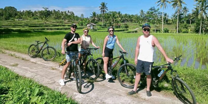 Bali Natural Downhill Cycling Tour and visit Batur Volcano - The Cycling Experience
