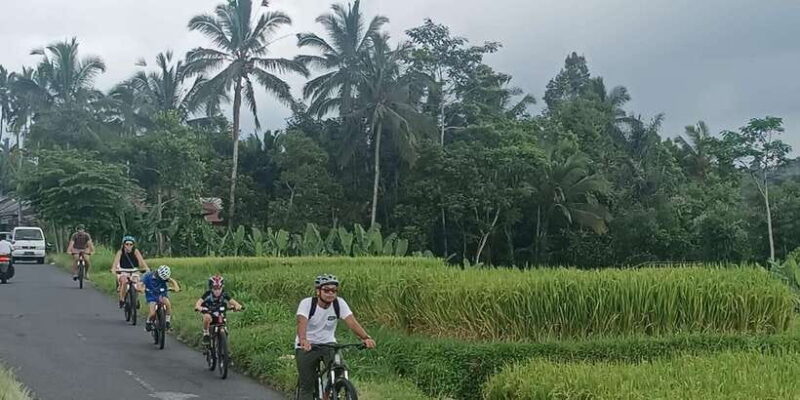 Bali Natural Downhill Cycling Tour and visit Batur Volcano - Highlights Along the Route