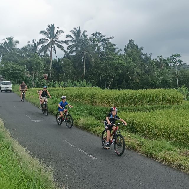 Bali Natural Downhill Cycling Tour and visit Batur Volcano - What to Bring and Keep in Mind