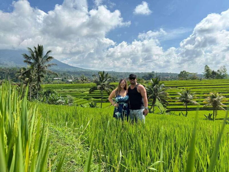 Bali: North Bali Customizable itineraries Trip with Transfer - Key Points