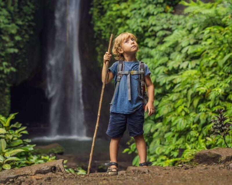 Bali: North Bali Tour with Jatiluwih, Ulun Danu, Waterfall. - Practical Tips for a Smooth Day