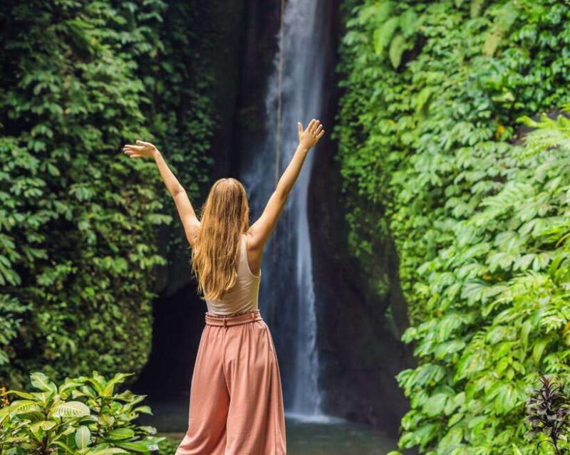 Bali: North Bali Tour with Jatiluwih, Ulun Danu, Waterfall. - Who Will Love This Tour