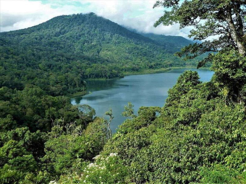 Bali: North Bali Tour with Waterfall, Vihara, and Hot Spring - Who Should Consider This Tour?