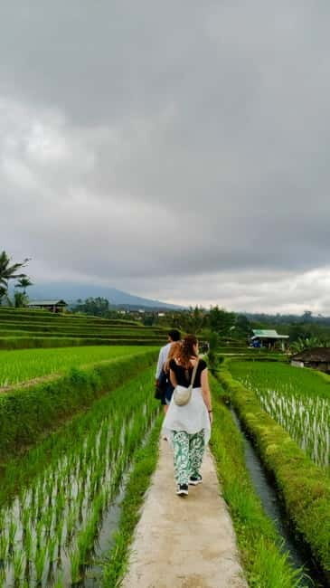 Bali: North Bali Tour With Yeh Hoo Waterfall - Final Words