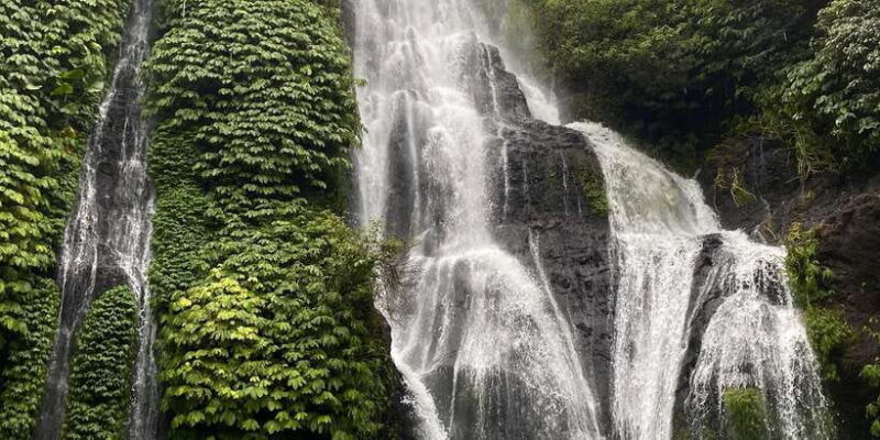Bali Northern Trip : Majestic Waterfall Tour - Practical Tips for Booking and Enjoying the Tour