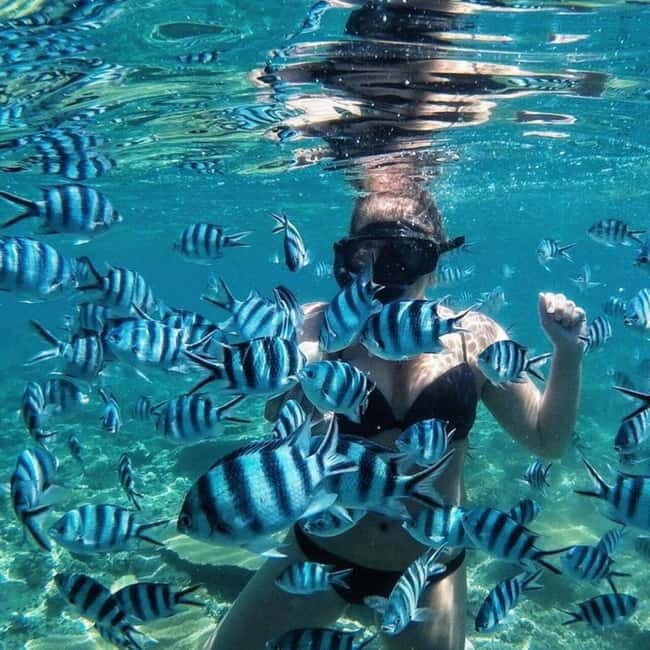 Bali/Nusa Dua: Snorkeling, Glass Boat Ride & Turtle Center - What the Reviews Tell Us