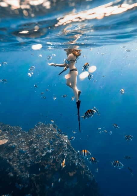 Bali/Nusa Dua: Snorkeling, Glass Boat Ride & Turtle Center - The Sum Up