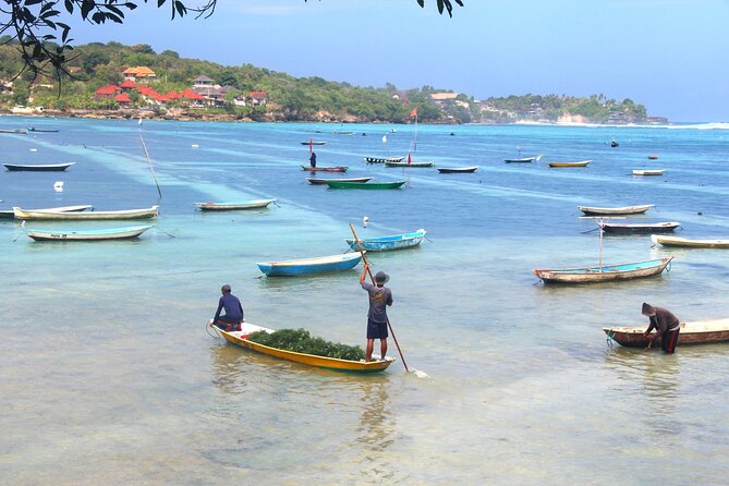 Bali Nusa Lembongan Islands Private Tour - All Inclusive - Who Will Appreciate This Tour?