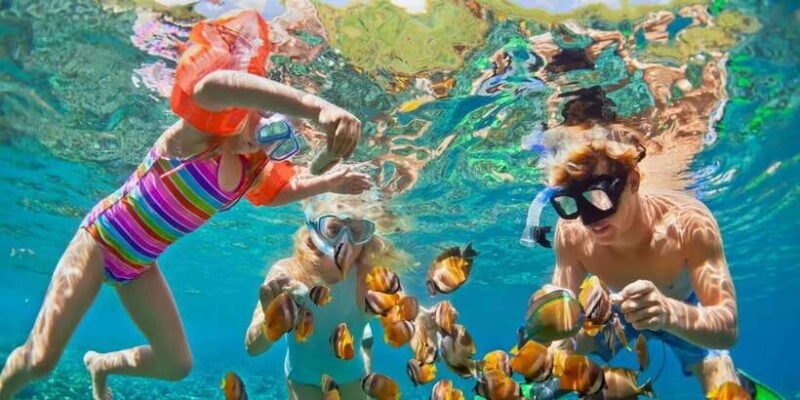 Bali: Nusa Lembongan Snorkeling & Mangrove Forest Trip - Final Thoughts: Is It Worth It?