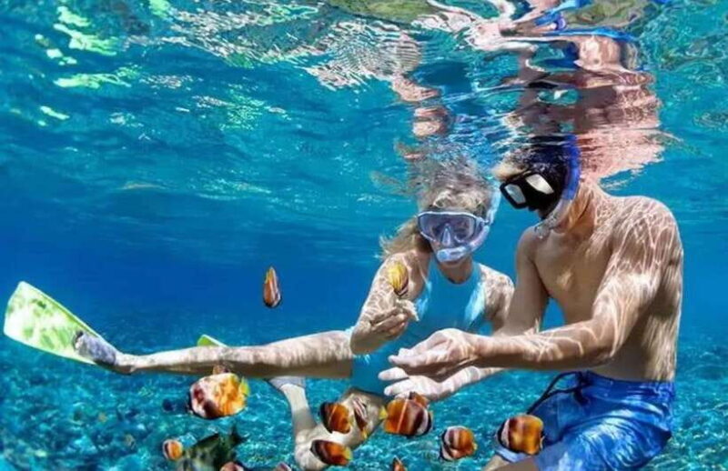 Bali Nusa Penida Day Tour With All Inclusive - What Makes This Tour Stand Out