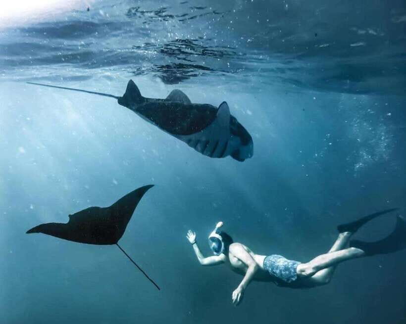 Bali: Nusa Penida Full-Day Trip with Snorkeling - Final Thoughts: Is This Tour Worth It?