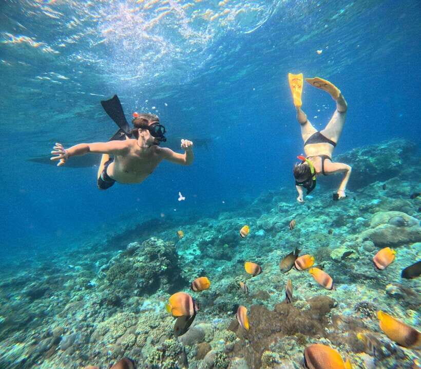 Bali: Nusa Penida Full-Day Trip with Snorkeling - Who Should Consider This Tour?