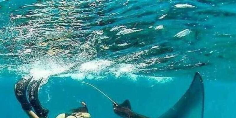 Bali - Nusa Penida Highlight Snorkeling and Land Tour - Bali - Nusa Penida Highlight Snorkeling and Land Tour Review