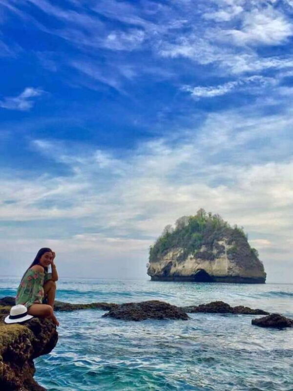 Bali/Nusa Penida: Highlights Private Car Full Day Trip - The Ideal Traveler for This Tour
