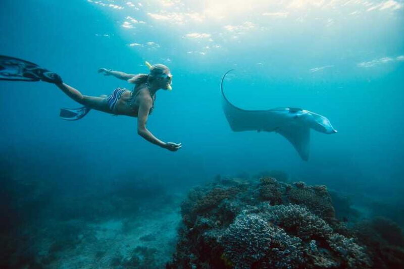Bali/Nusa Penida: Manta Point Snorkel Boat & West Coast Tour - Reviews and Authentic Feedback