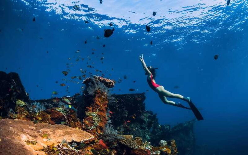 Bali/Nusa Penida: Manta Point Snorkel Boat & West Coast Tour - FAQ