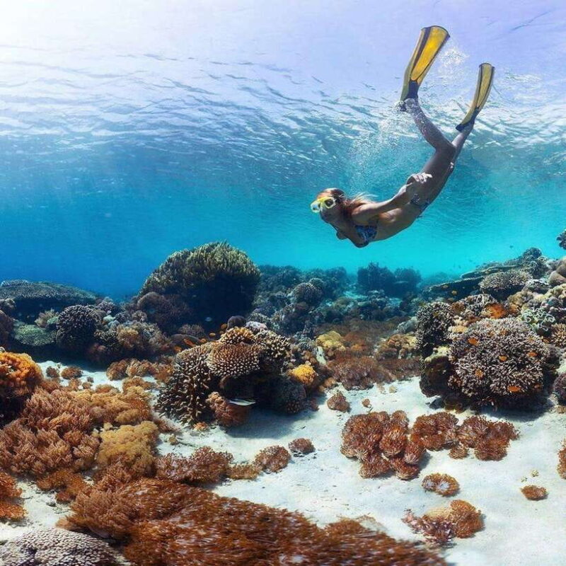 Bali: Nusa Penida Manta Snorkeling Tour & Beach Club Access - Key Points