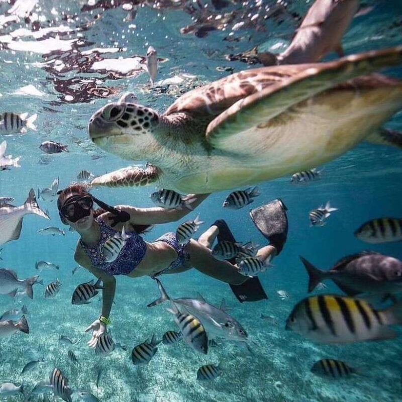 Bali: Nusa Penida Manta Snorkeling Tour & Beach Club Access - The Itinerary in Detail