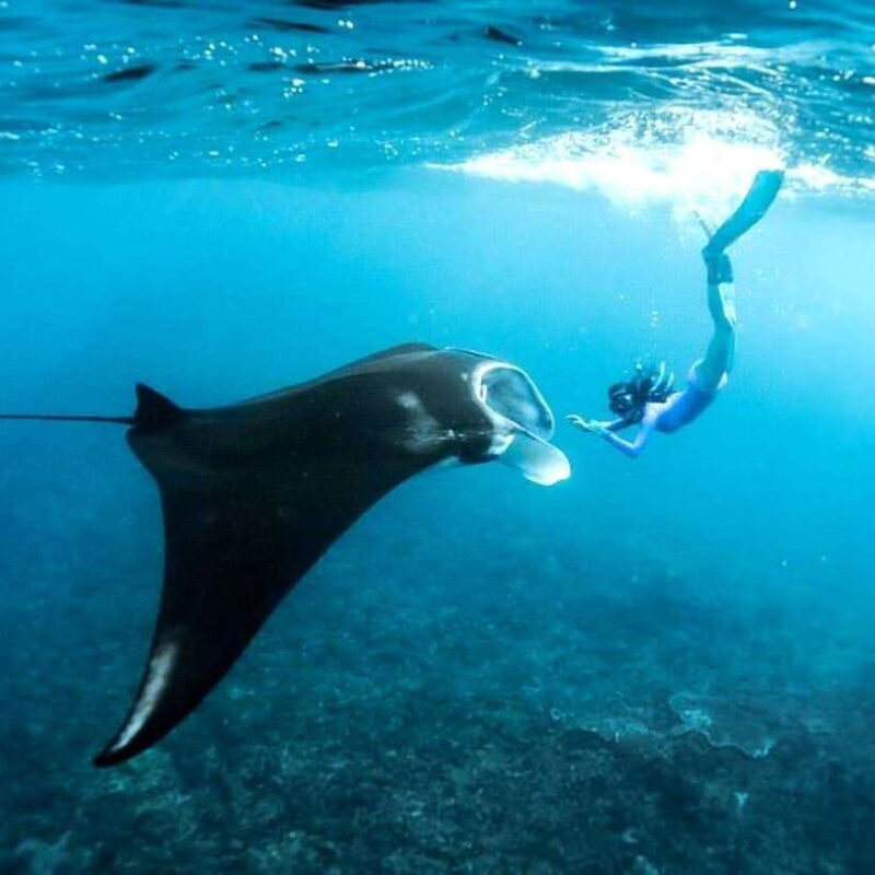 Bali: Nusa Penida Manta Snorkeling Tour & Beach Club Access - What You’ll Love About This Tour