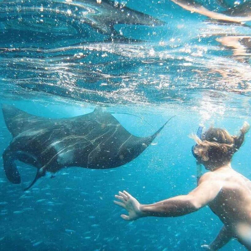 Bali: Nusa Penida Manta Snorkeling Tour & Beach Club Access - Who Should Consider This Tour?