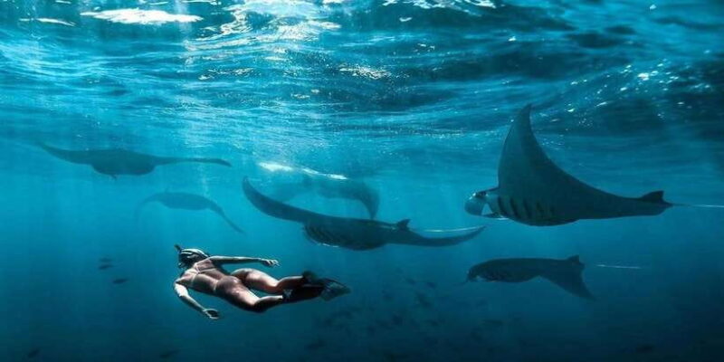 Bali: Nusa Penida Snorkeling Adventure and Island Tour - What Real Travelers Say