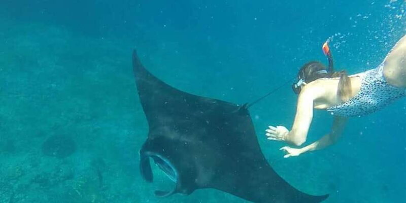 Bali: Nusa Penida Snorkeling Adventure and Island Tour - The Sum Up: Who Will Love This Tour?