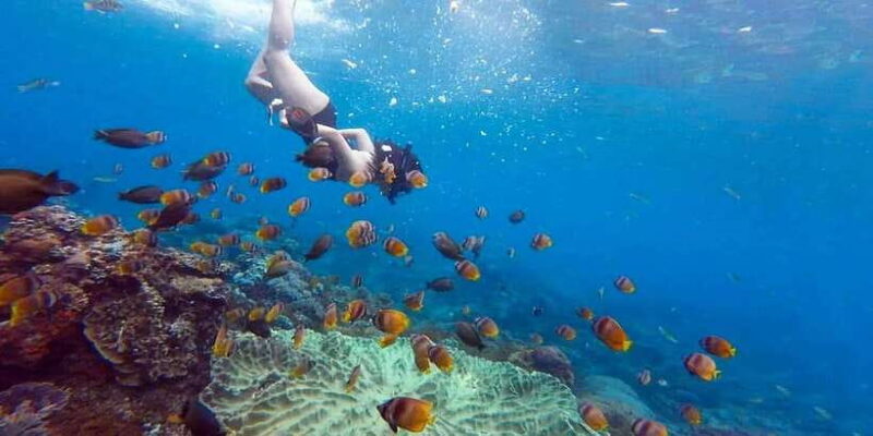 Bali: Nusa Penida Snorkeling Adventure and Island Tour - FAQs