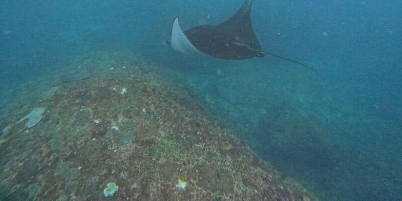 Bali: Nusa Penida Tour with Lunch & Manta Point Snorkeling - Breakdown of the Itinerary