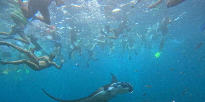 Bali: Nusa Penida Tour with Lunch & Manta Point Snorkeling - Practical Tips and Considerations