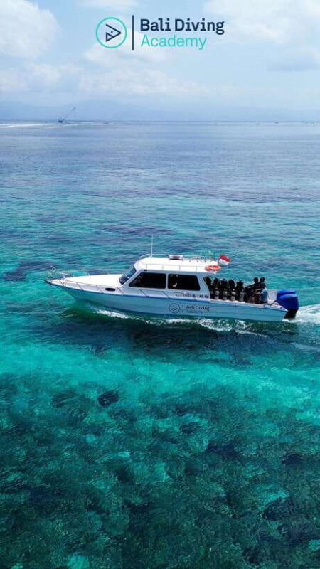 Bali: Open Water Diver Course in Sanur and Penida - The Experience at Sanur and Nusa Penida