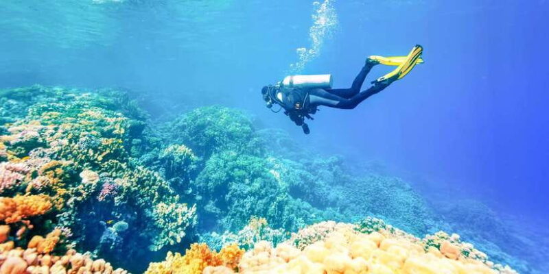 Bali: Padangbai Blue Lagoon Beginner's Dive Experience - Key Points