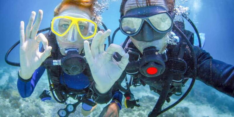 Bali: Padangbai Blue Lagoon Beginner's Dive Experience - Why This Tour Offers Great Value